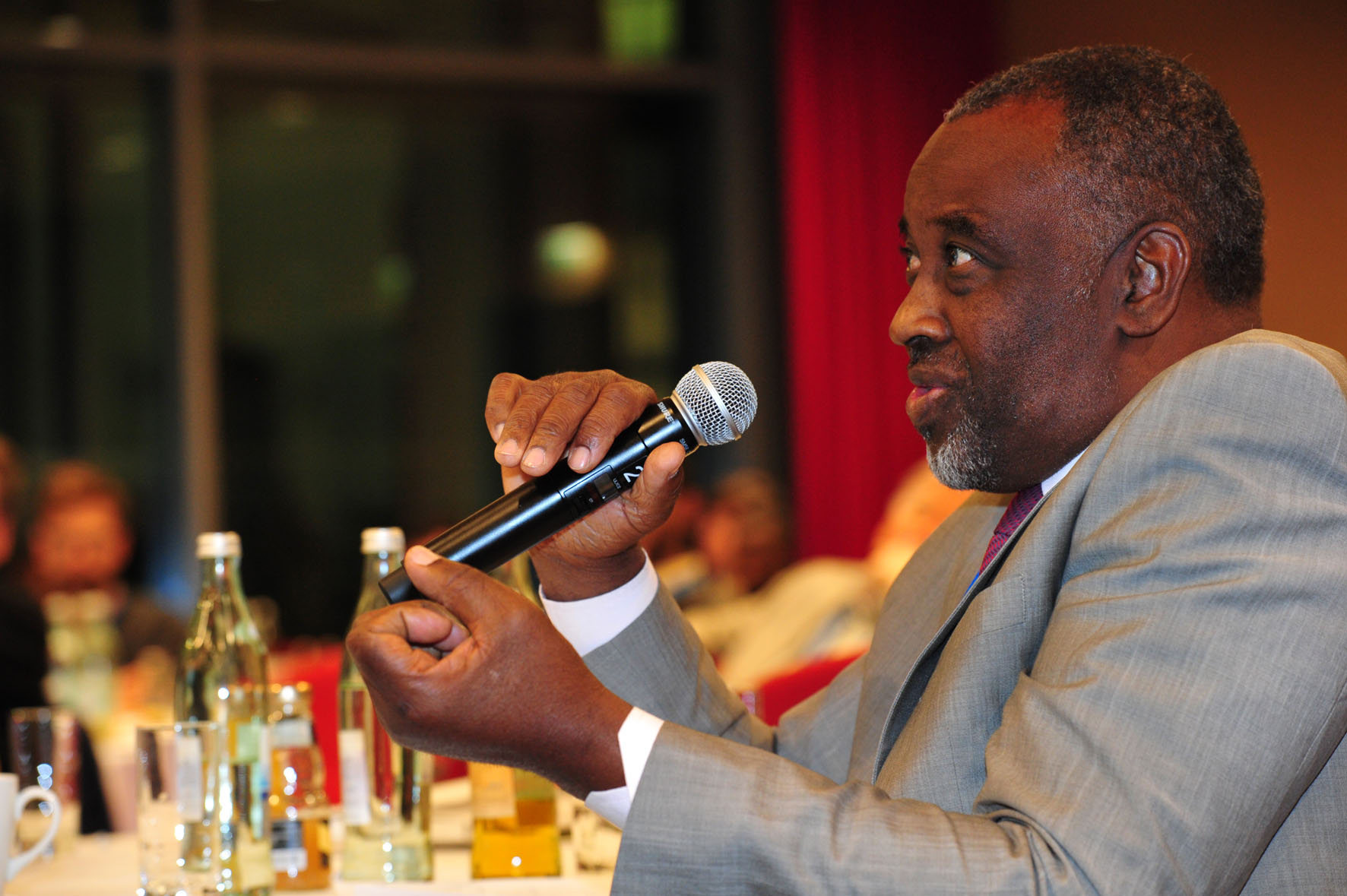 Statement of the Co-Chairs – Conference on Bioenergy and Development ...